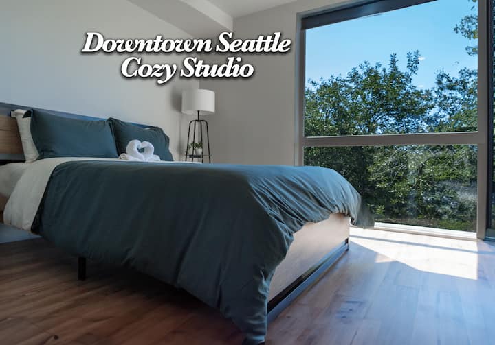 ~Cozy~downtown Seattle Studio - Seattle
