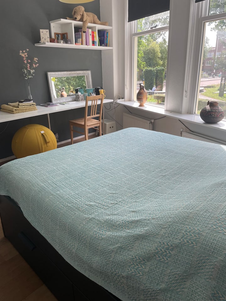 Kamer In Stadswoning Aan Park - Bergen, Netherlands