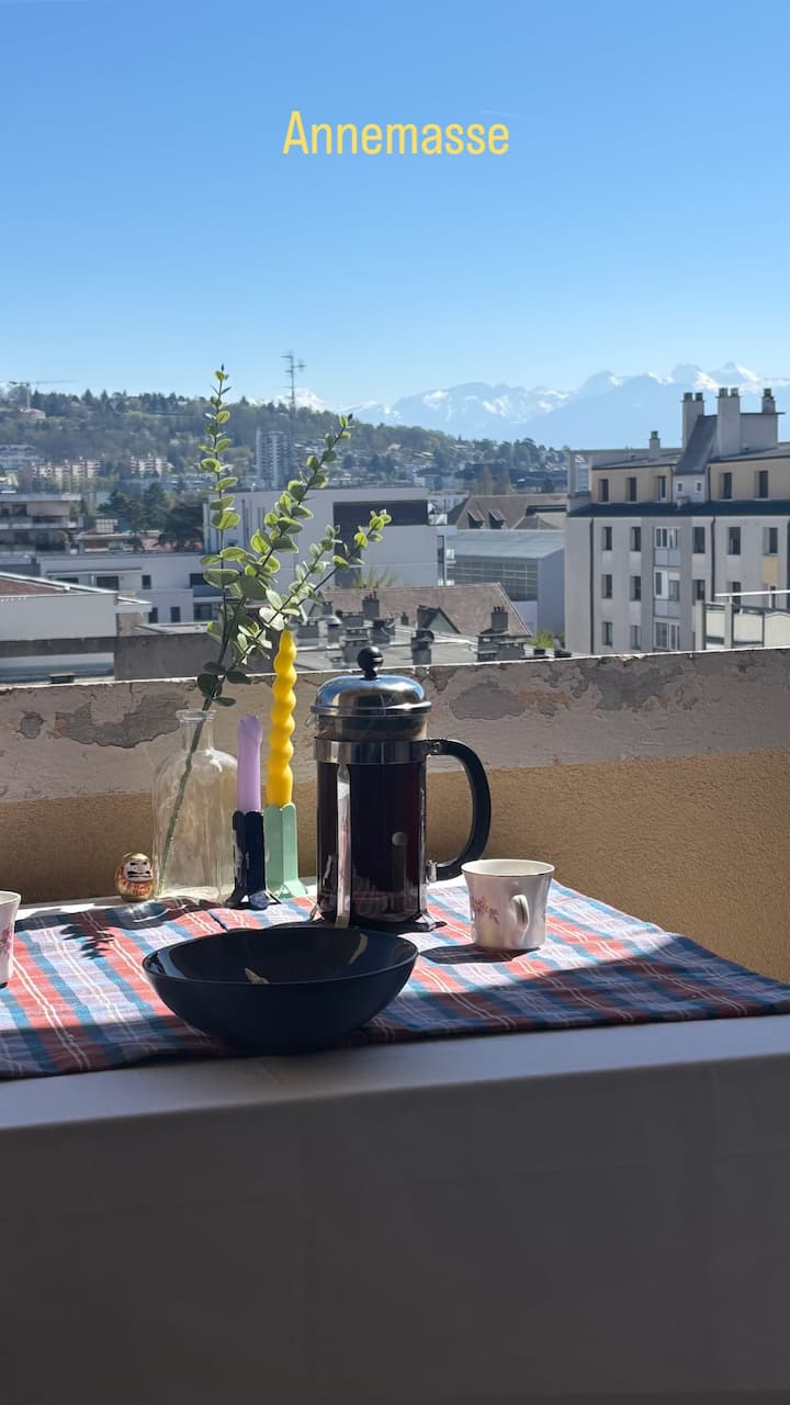 T3 Cosy - Frontière De Genève - Annemasse