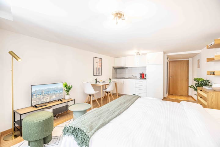 Central & Stylish Studio In Lausanne - 986000 - Lausanne