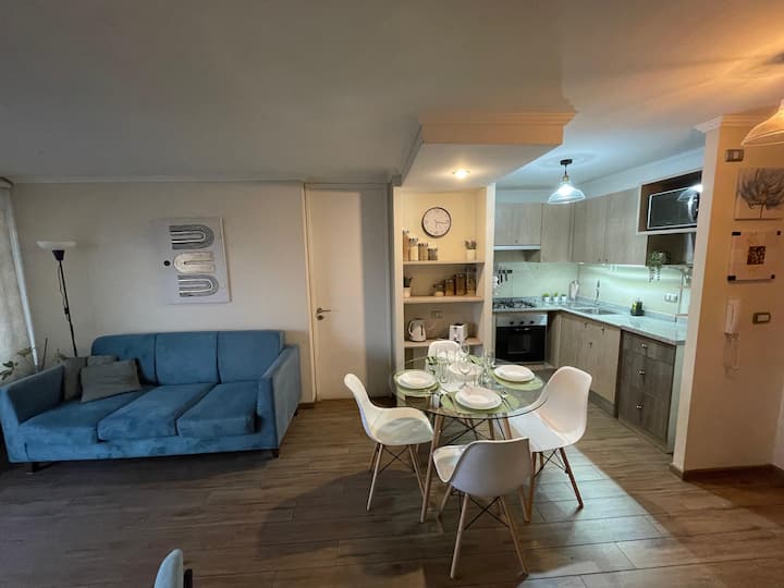 Estilo/confort En Barrio Italia - Providencia