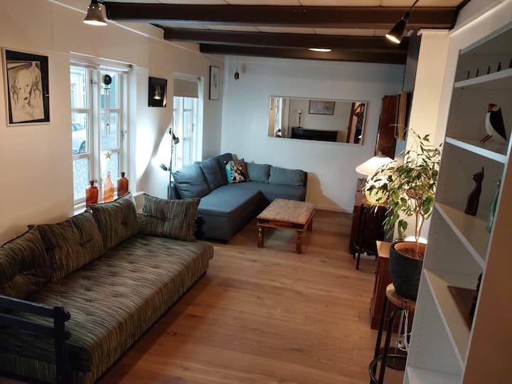 19th Century Downtown Apartment - Reykjavik
