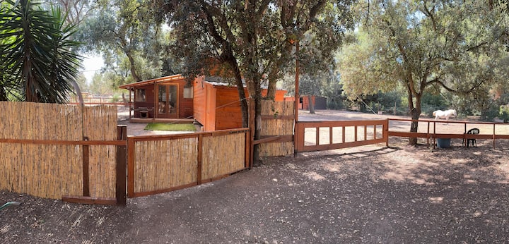 Chalet Provençal De Charme - Six-Fours-les-Plages