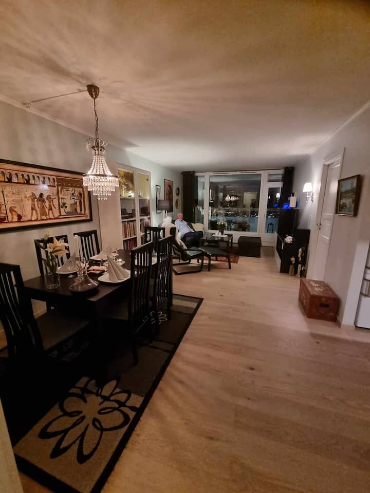 Nyoppusset Koselig Utsikts Leilighet - Drammen