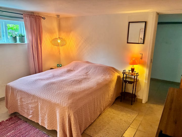 Værelse Odense C Inkl. Cykler - Odense