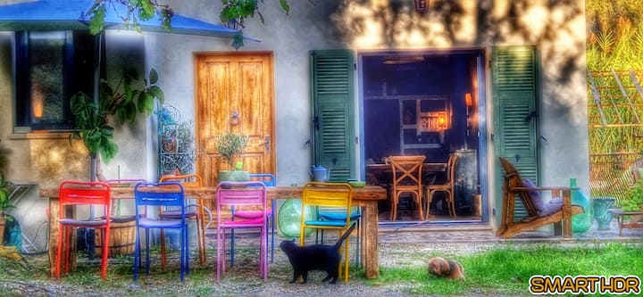 La Pampanette - Saint-Paul-de-Vence