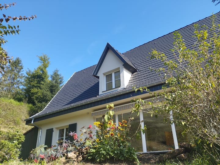 Gîte Des Païens - Wingen Sur Moder - La Petite-Pierre