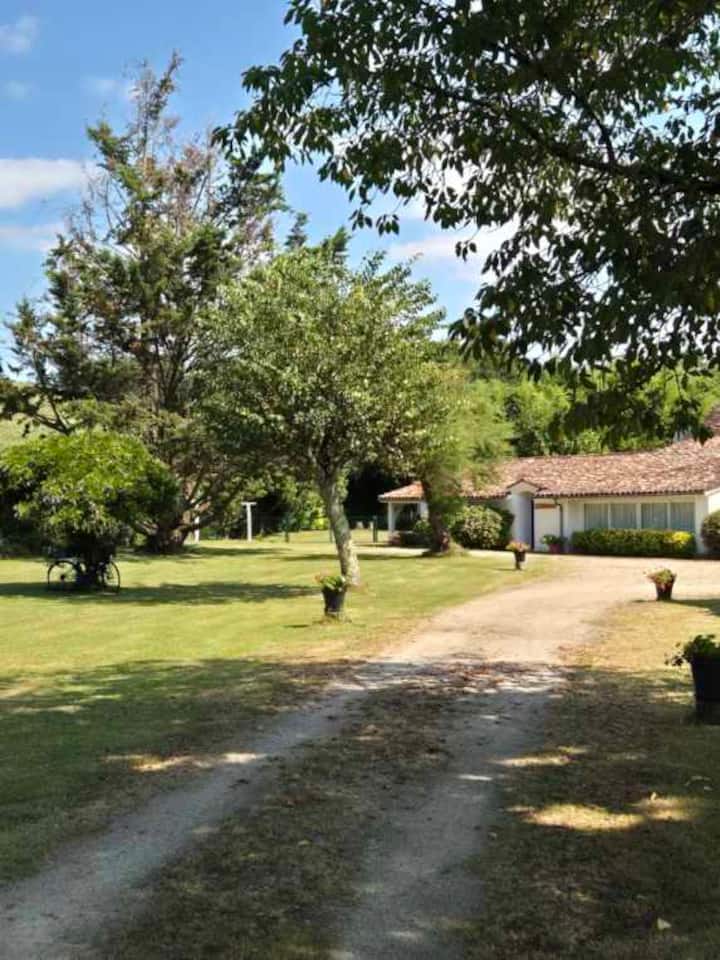 Gîte Des Palmiers Logement 100 M2 - Navarrenx