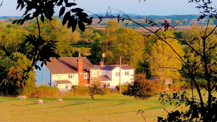 Fern Cottage - Warwickshire