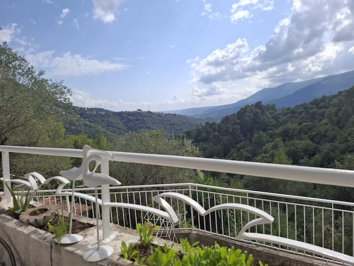 Happy Home Levens - Carros