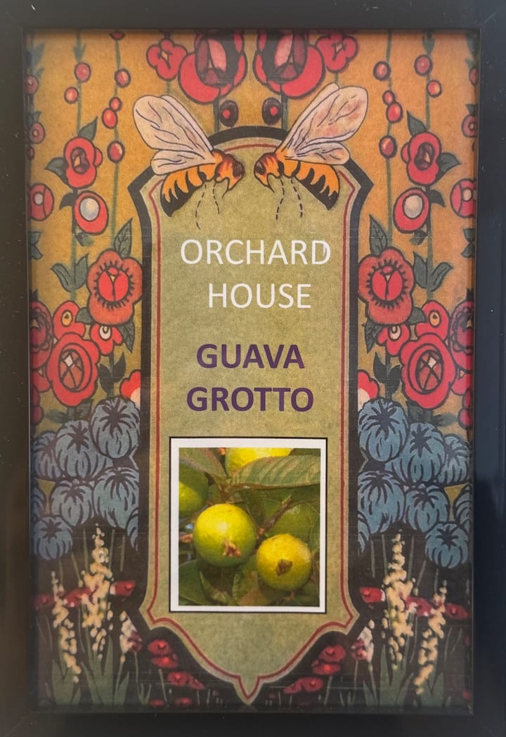 Orchard House - Guava Grotto - Poway, CA