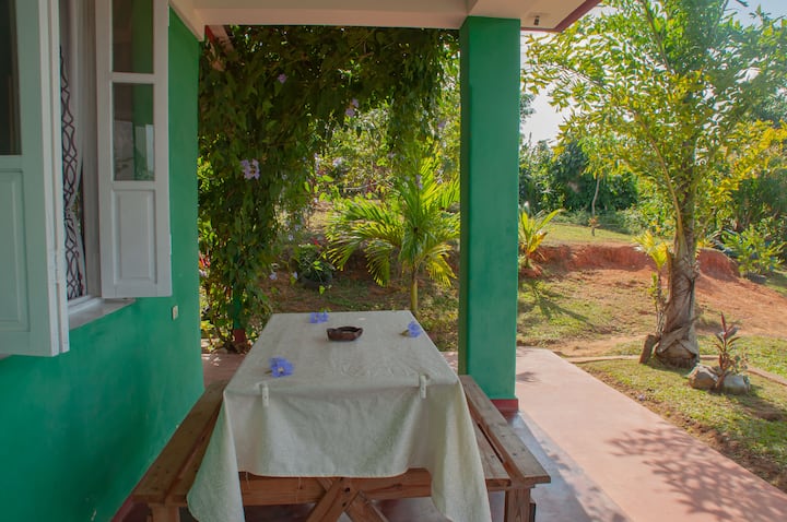 Casa La Mano Verde: Vista Familiar A La Montaña - Viñales