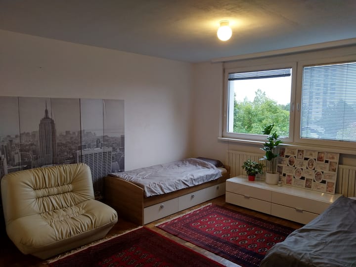 Best Value Appartment In Celje - Celje