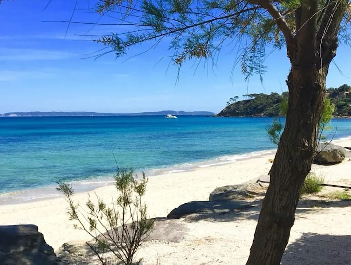 App Clim Et Wifi 3* 4 Pers à 50m Plage Le Lavandou - Le Lavandou