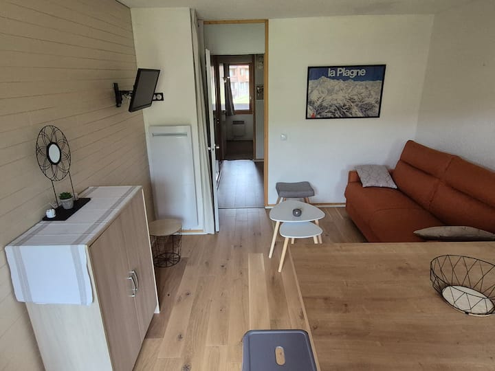 Appartement Ski Pied Des Pistes - La Plagne