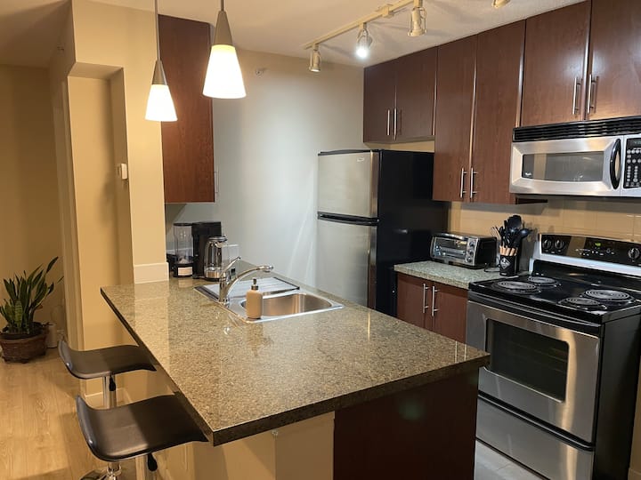 Downtown Apt. At Rogers Arena & Bcplace - Vancouver