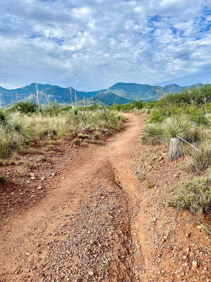 Ride The Brand - Sierra Vista, AZ