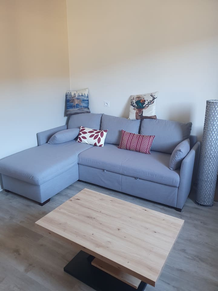Agréable Chaleureux 1 Chambre 2 éToiles Dpe D - Bois-d'Amont