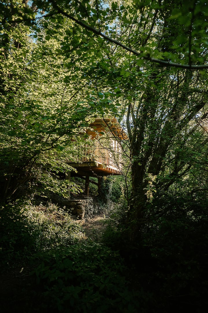 Cabin In The Trees | Stay Wild | Kestrel - North Wales