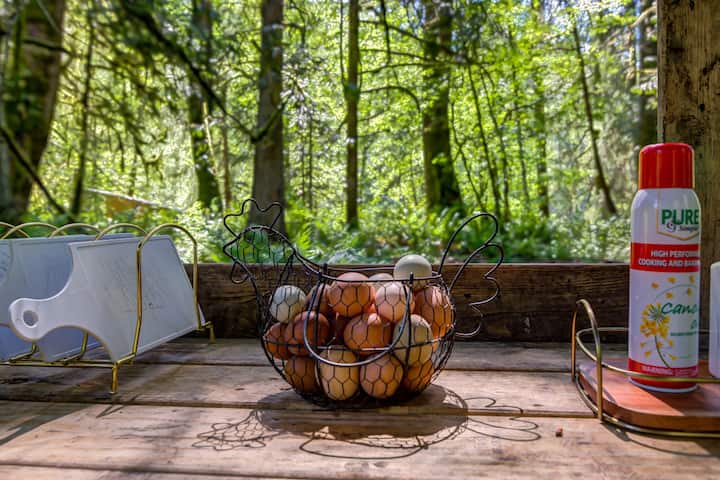 Charming Creekfront Farm Cabin On 30 Acr W/piglets - Enumclaw, WA