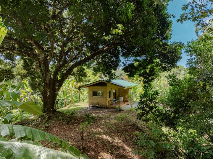 Cabin In Fruit Forest Near Uvita - Costa Rica