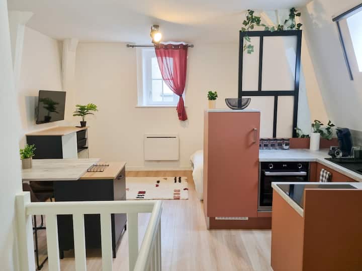 Le Haviland, Centre-ville - Limoges