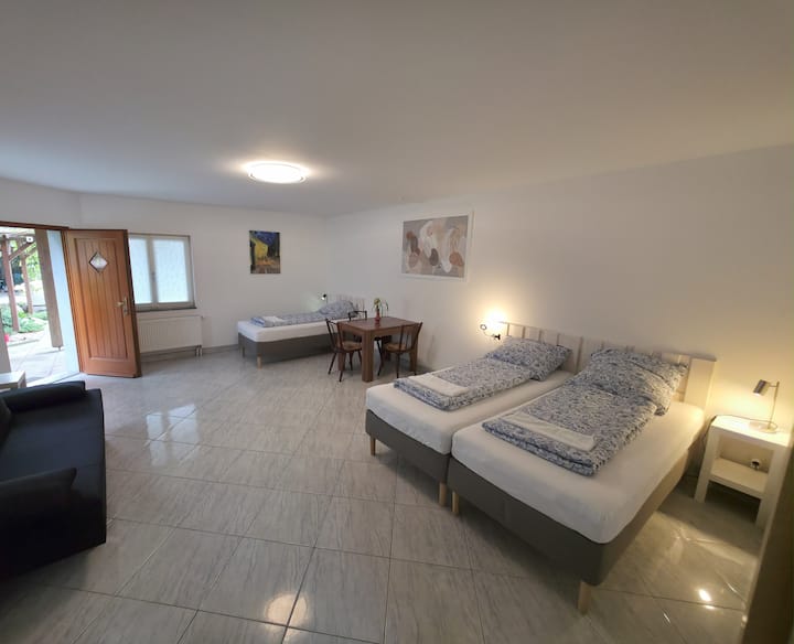 Big Central Room (1) In Dresden - Dresden