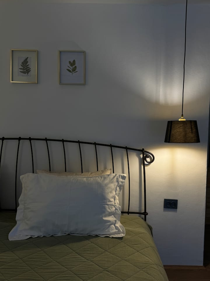 The Garden Room - Sarmizegetusa