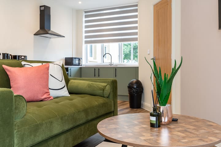 Loft(2) ~ Deluxe Studio Apt Near Dmu & City Center - Leicester