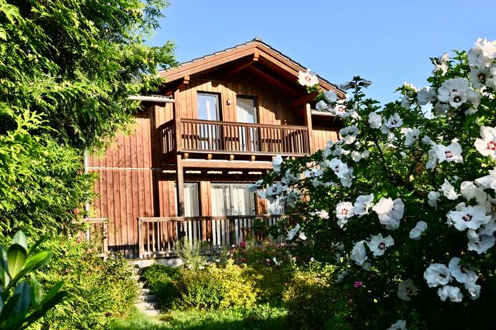 Chalet Attersee - Attersee