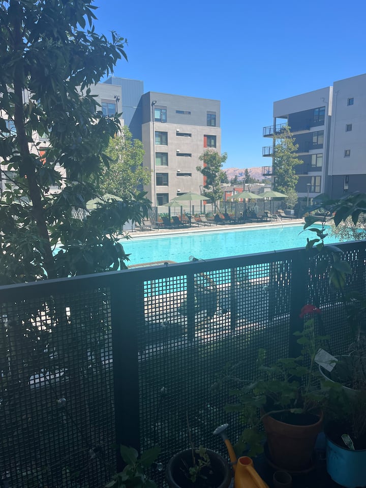 2 Bedroom Apartment Near Levi Stadium & Caltrain - Santa Clara, CA
