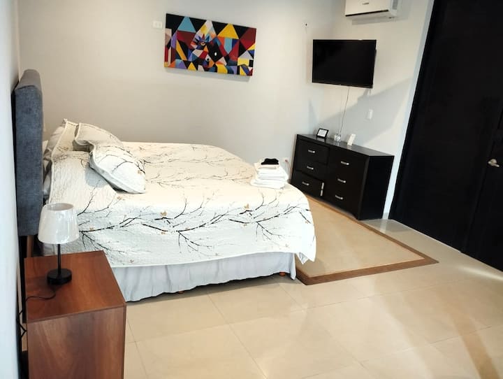 Nueva Habitación Con Baño Priv. En Casa S5 - Monterrey