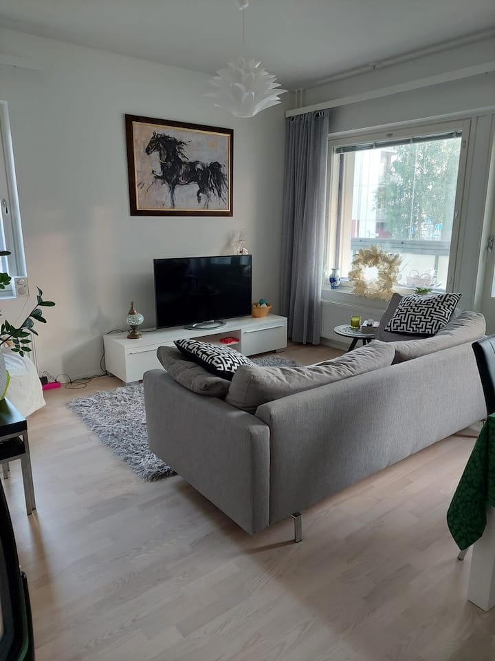 Pretty Apartment In City Center - Rovaniemi