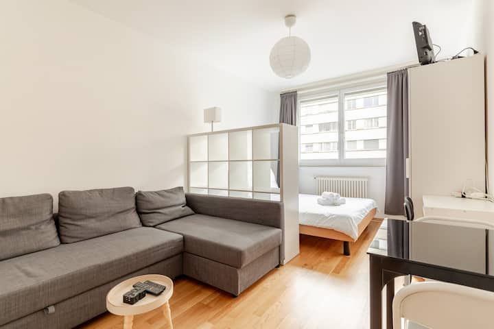 Nice 1br In The Genève-cornavin Area - Carouge