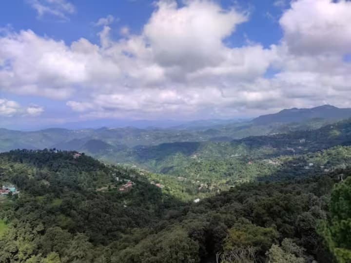 Amazing Valley & Nature Views! Family 3bhk, Shoghi - 심라