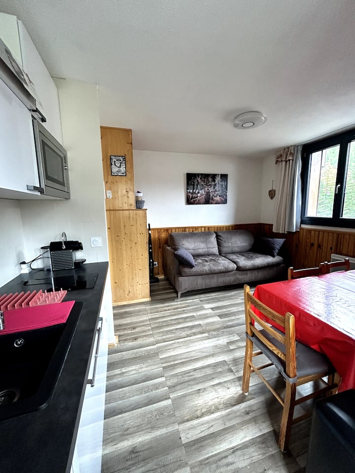 Plein Centre Station La Foux D'allos Hiver Ski - La Foux d'Allos