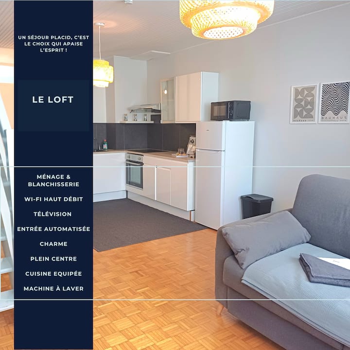 Le Loft - En Plein Centre Très Spacieux - Beauvais