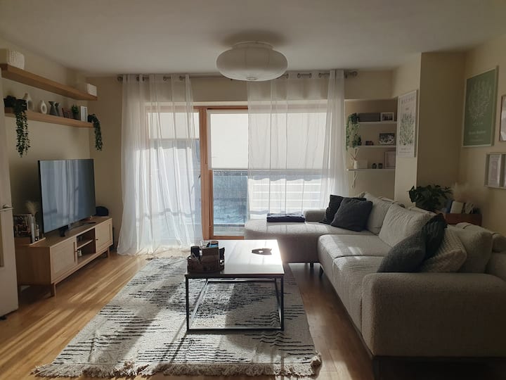 Entire Rental Unit - Grand Canal - Dublin