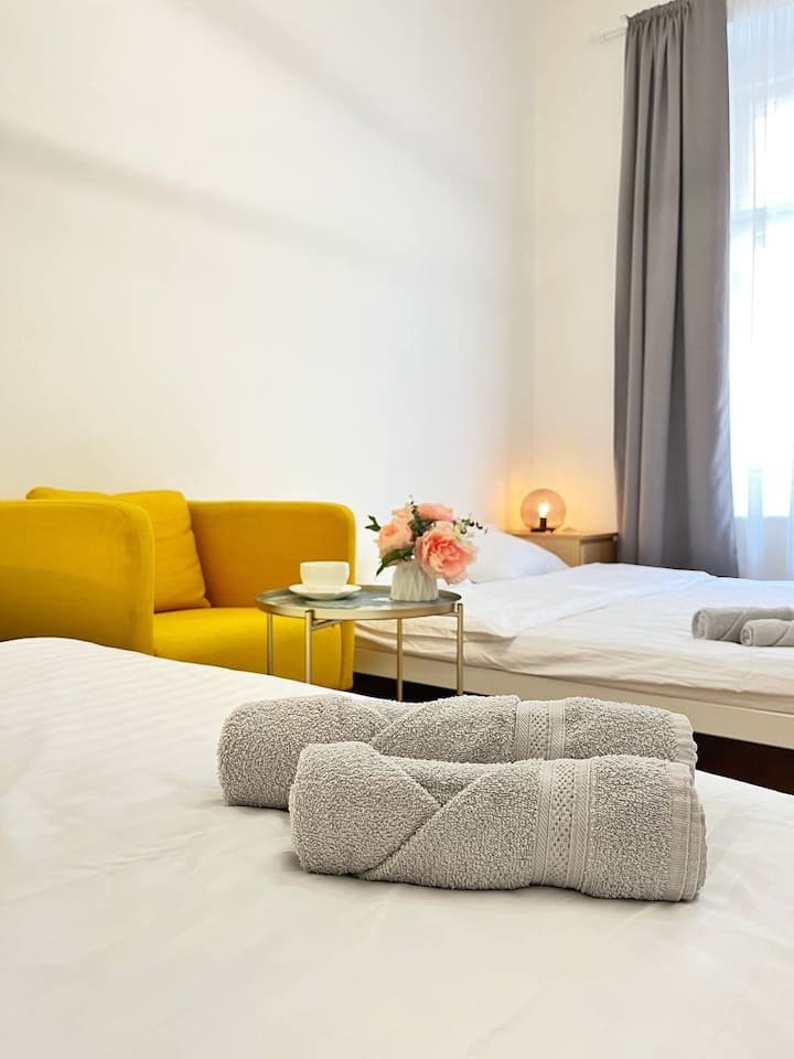 Large Cozy Apartment In The Center. Up To 5 People - プラハ