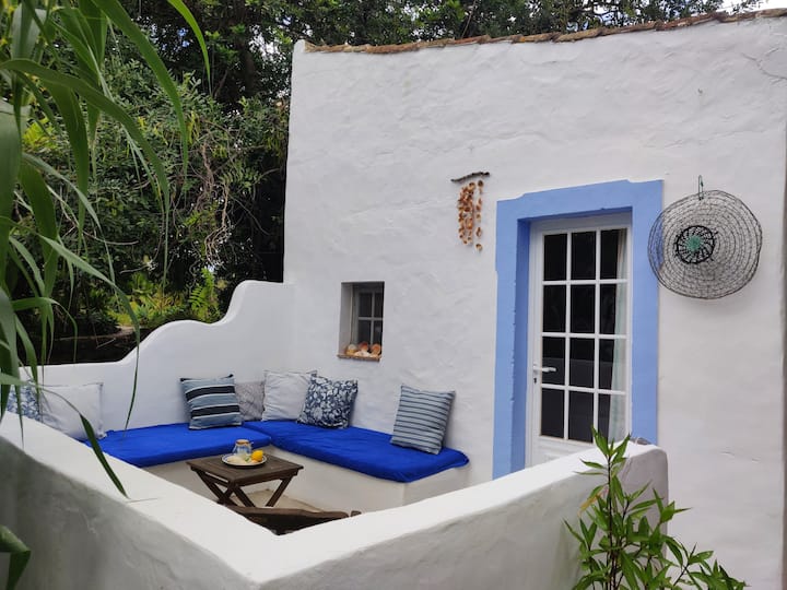 Casa Sol Montegião - & Tropical Garden And Pool - Olhão