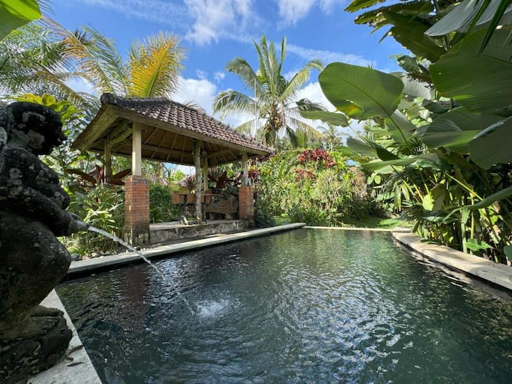 Escape To Hidden Gem - Indonesia