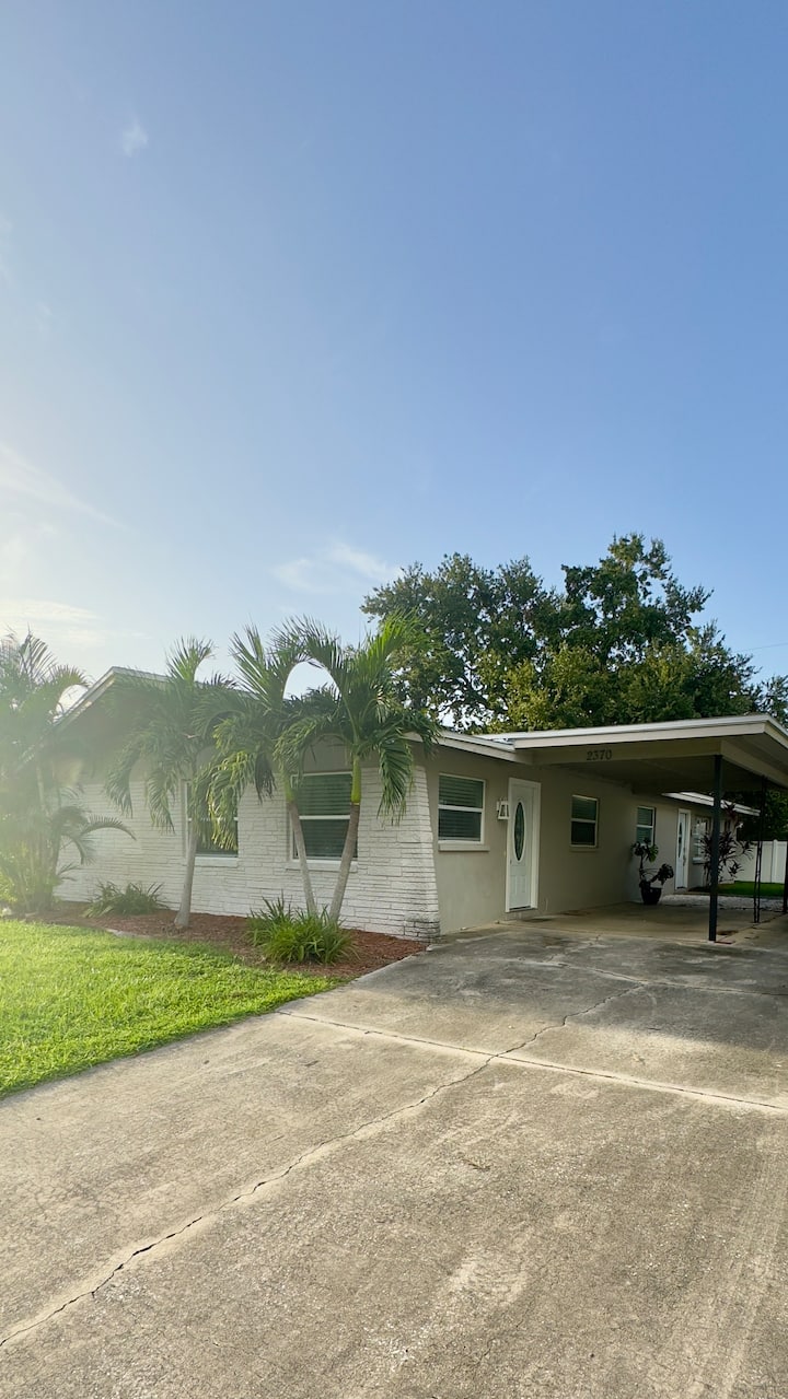 Cozy Comfy Clean In Clearwater - Clearwater, FL