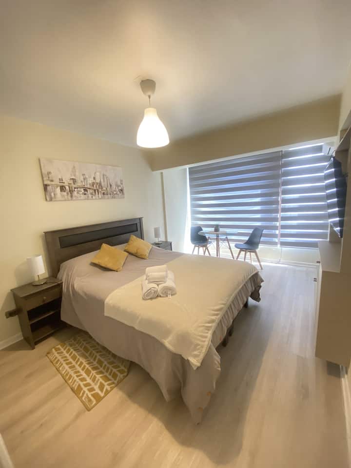 Bellas Artes. Mejor Ubicación Y Aire Acondicionado - Providencia