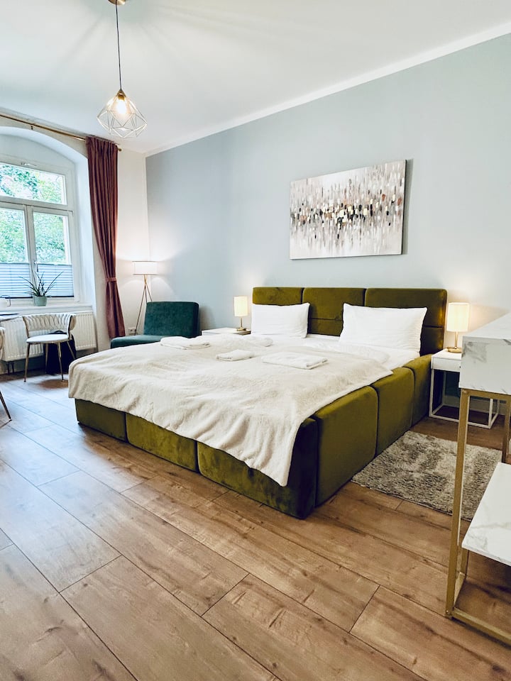 Modernes City-apartment Mit Großer Terrasse - Dresde