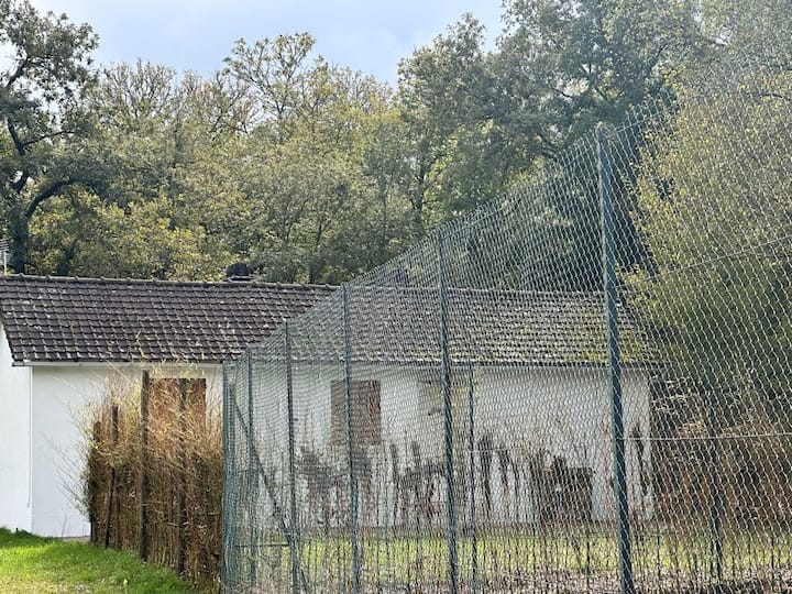 La Maison Des Bruyères - Chaumont-sur-Tharonne