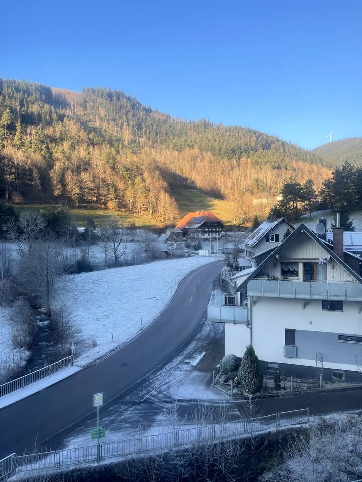 Logement Avec Vue Panoramique - Schiltach