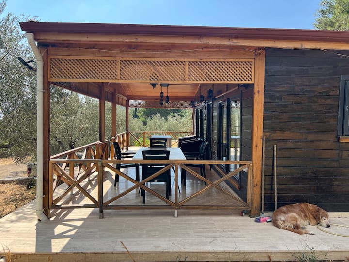 Kaz Dağlarıyeşilyurt Köyü'nde Verandalı Ahşap Ev - Küçukkuyu