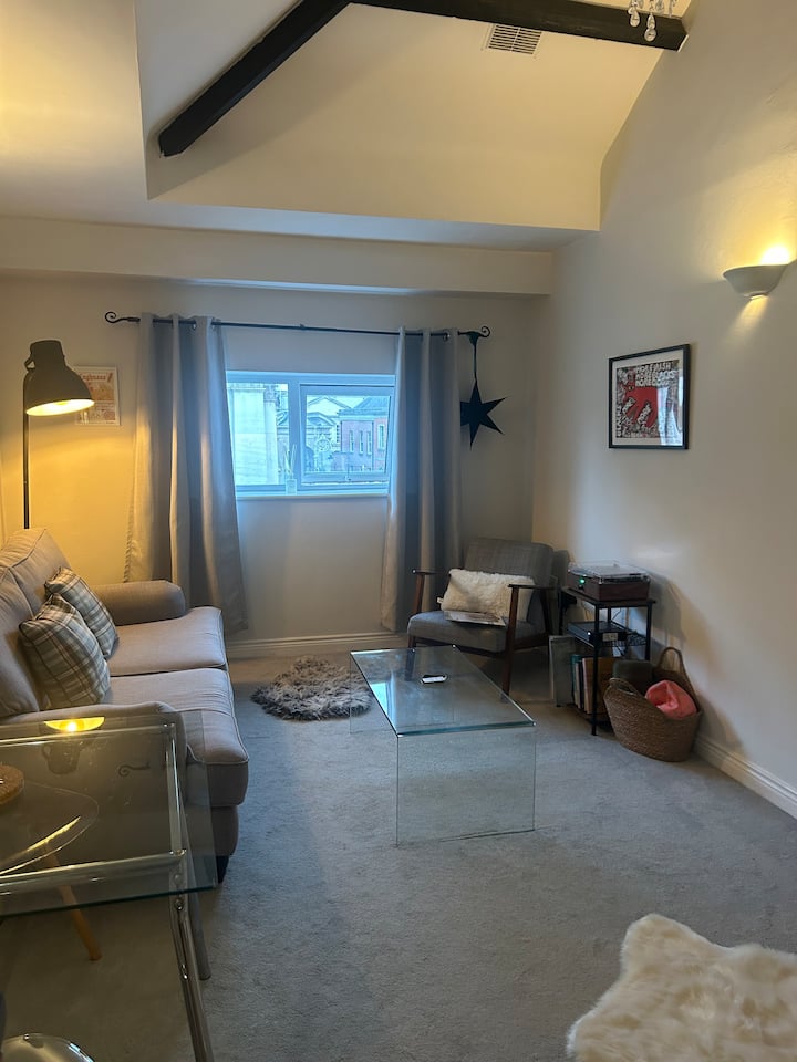 Temple Bar Loft - Dublin