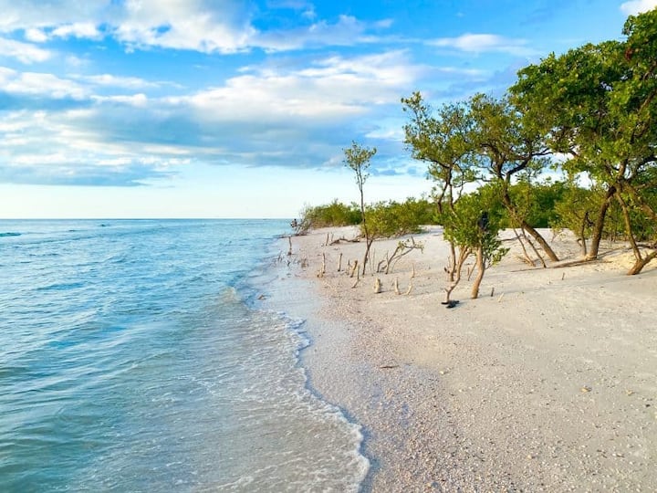 Home In Dunedin - Dunedin, FL