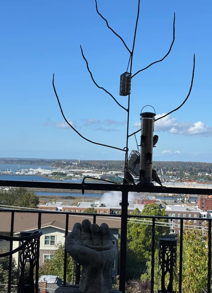 Bay & City View Condo-walk To Downtown Or Wwu - Bellingham, WA